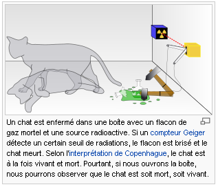Prenez vos décisions grâce au chat de Schrödinger – GKDV – Useless ...